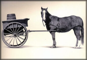 Putting the cart before the horse | Robert Reddin – copy editor